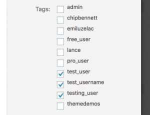 Extending the WordPress Media Uploader: Custom Field - Igor Benić