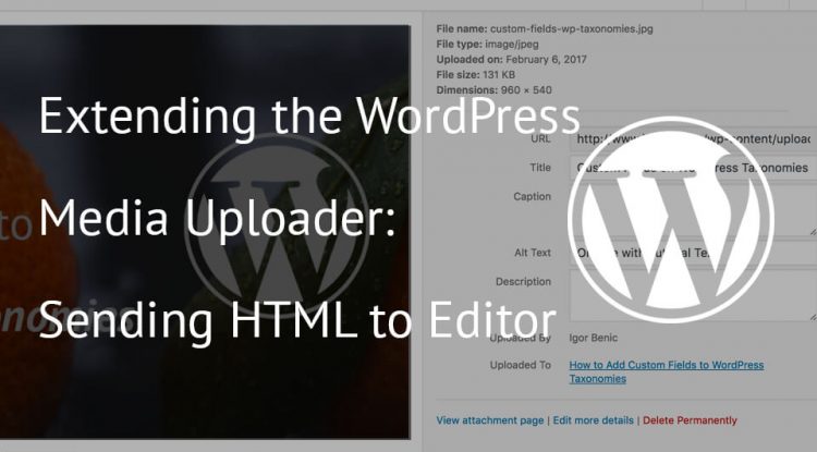Should You Use WordPress Transients? - Igor Benić Should You Use WordPress Transients? - Igor Benić
